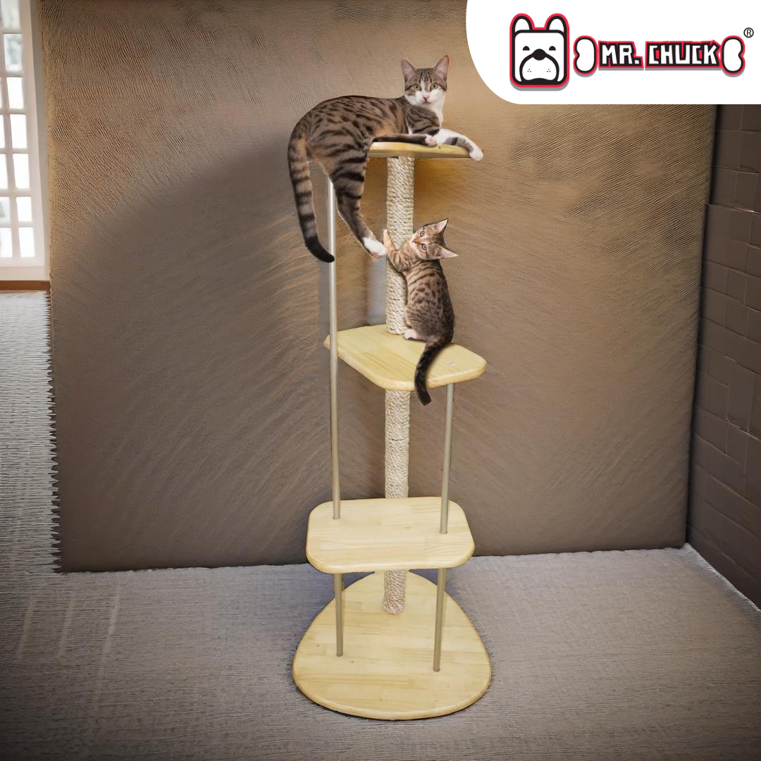 CAT CONDO – AF Home